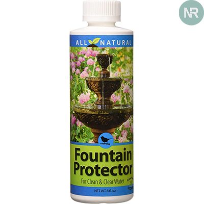 How to Clean Water Fountain Rocks - Stain & Algae